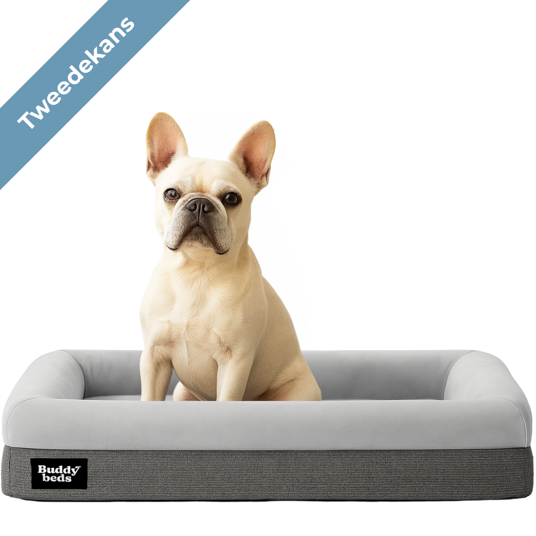 Tweedekans Buddy Bed – Buddy Beds